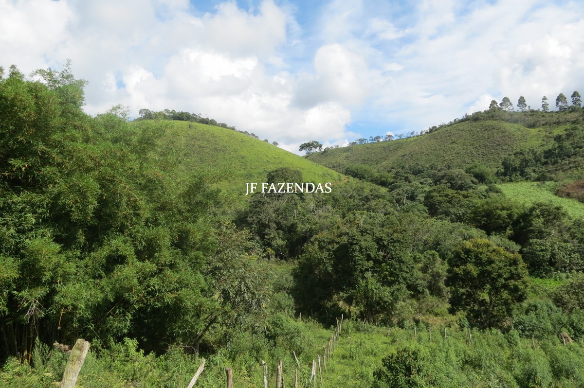 Fazenda em Lima Duarte-MG – 250 hectares – JF Fazendas