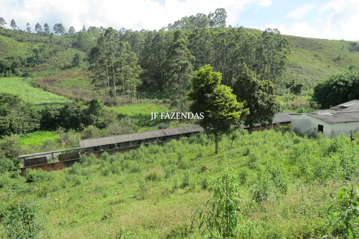 Fazenda em Lima Duarte-MG – 250 hectares – JF Fazendas