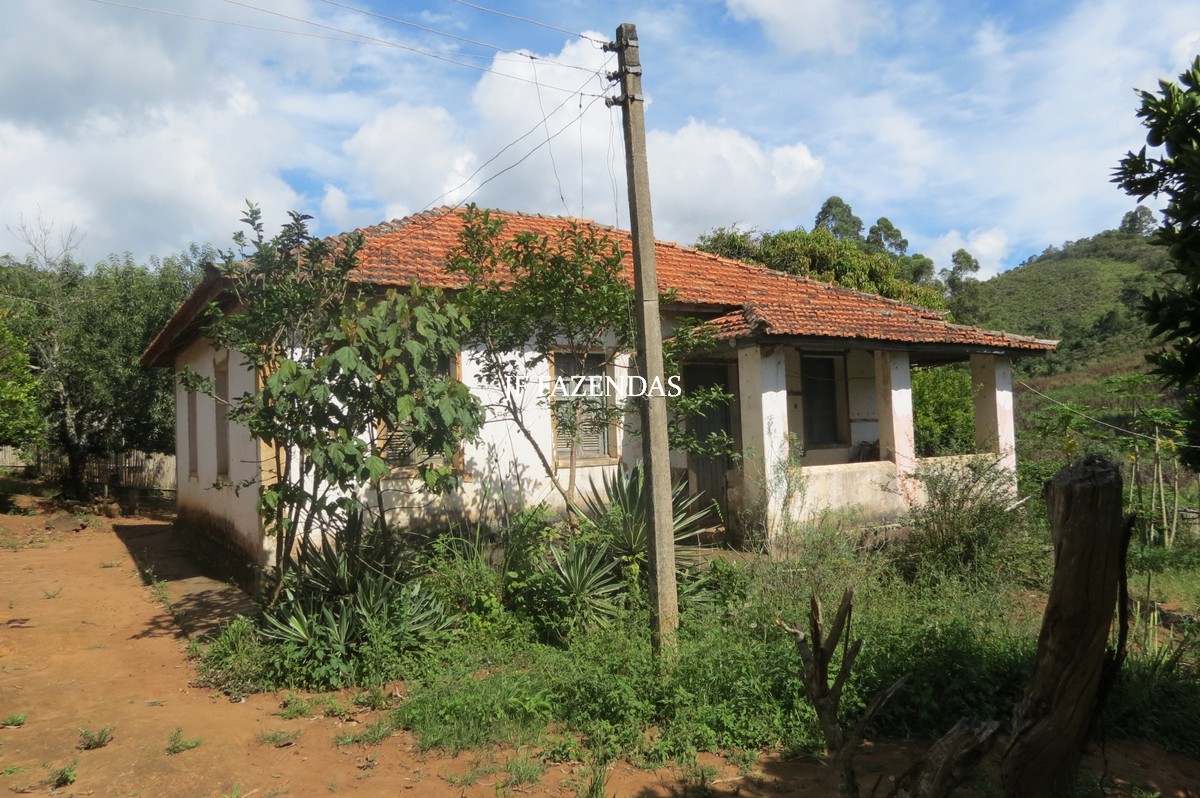 Fazenda em Lima Duarte-MG – 250 hectares – JF Fazendas