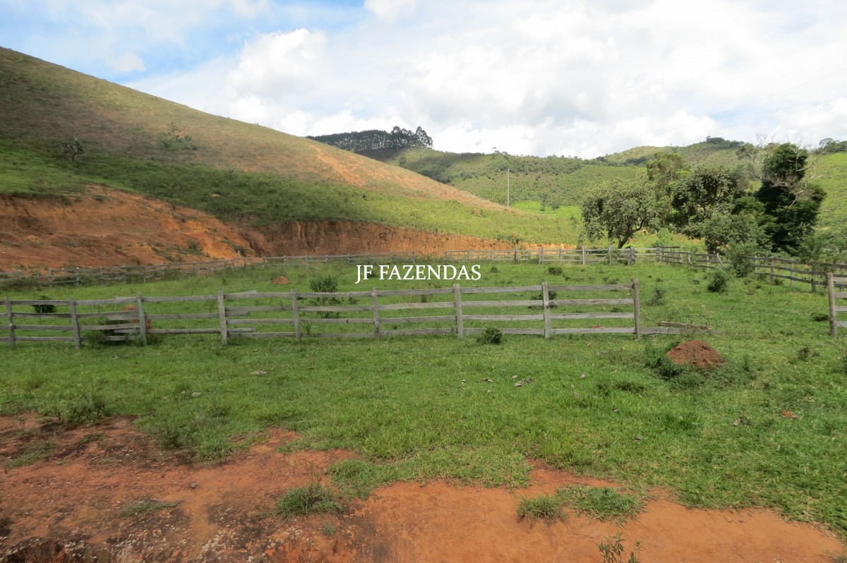 Fazenda em Lima Duarte-MG – 250 hectares – JF Fazendas